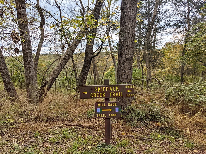 Follow the Skippack Creek Trail sign to discover Pennsylvania's best-kept natural secret.