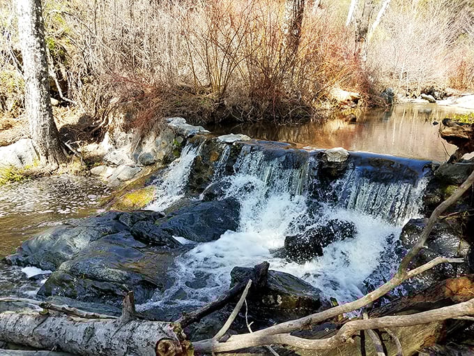 Nature's spa treatment: the hypnotic sound of cascading water that's better than any white noise machine you've bought online.