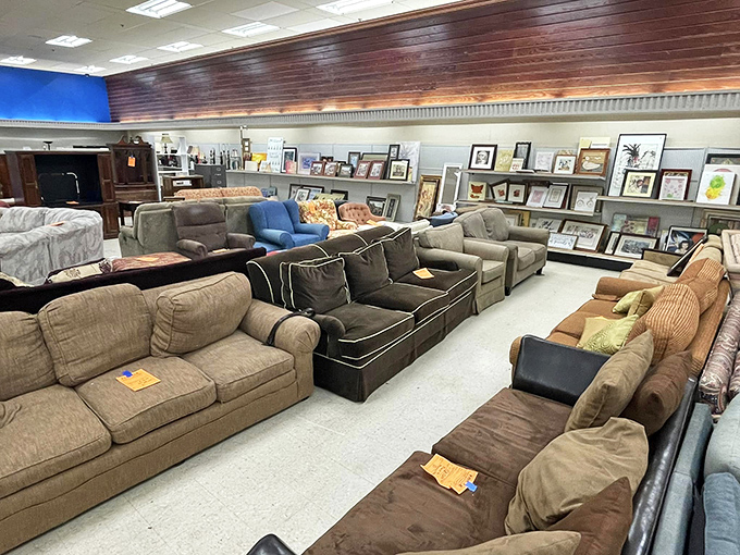 Sofa safari at its finest – neutral tones for the cautious, bold choices for the brave. Each one a fraction of retail and twice the character.