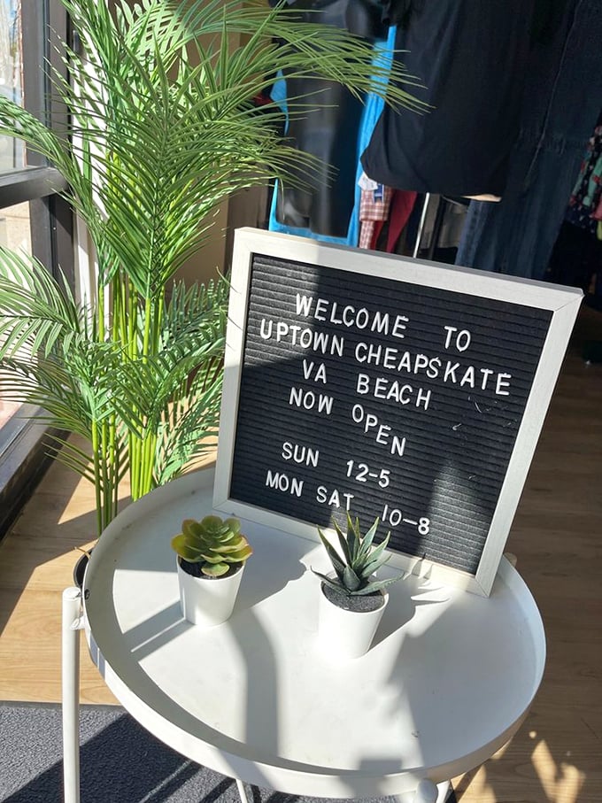 A welcome sign that actually makes you feel welcome. Those potted succulents aren't just surviving—they're thriving, much like your wallet will here. 
