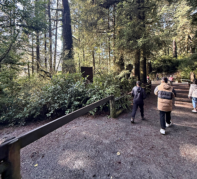 Wandering the trails feels like stepping into a storybook – minus the part where you get lost and eaten by wolves.