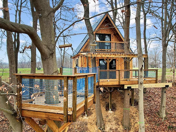 Not your childhood treehouse – this elevated cabin brings glamping to new heights, literally and figuratively.
