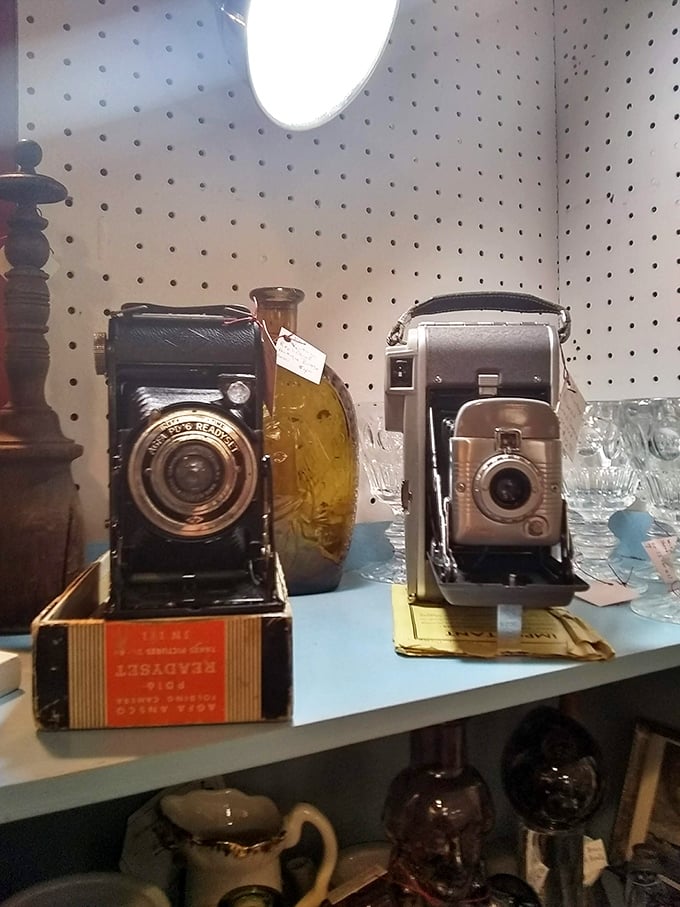 These vintage cameras once captured someone's wedding day or family vacation. Now they're artistic relics of pre-digital documentation.