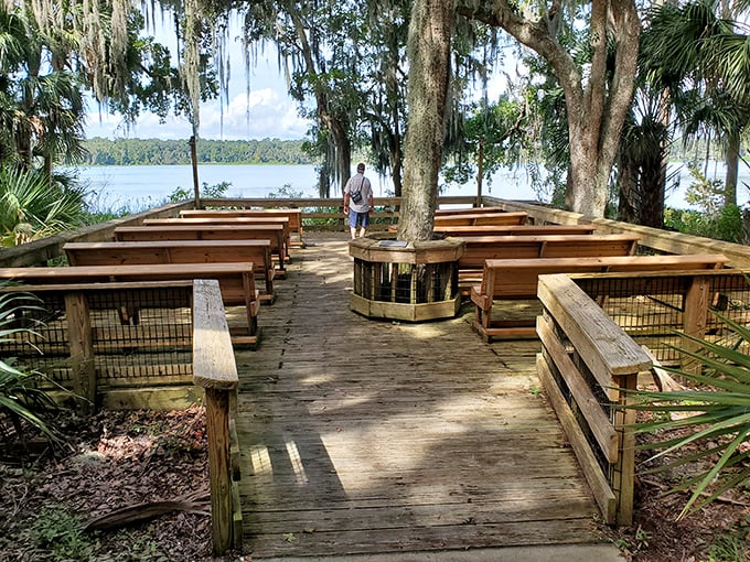 Nature's amphitheater, where wooden benches face the greatest show on earth—no tickets required, just bring your sense of wonder.
