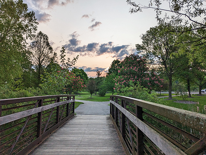 This wooden bridge isn't just crossing a stream—it's connecting you to the simpler pleasures hiding just around the bend.