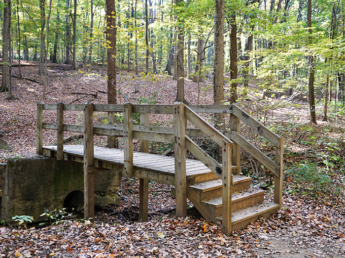 Rustic craftsmanship meets practical necessity on this charming footbridge. Some of life's best journeys require crossing a little creek in the woods.