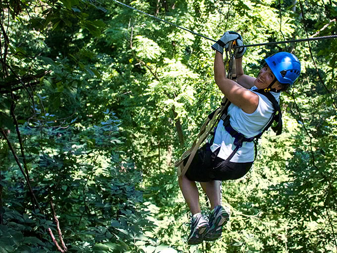 Who knew intellectual pursuits could include flying through treetops? Nearby outdoor adventures offer scholarly types a chance to test gravity firsthand.