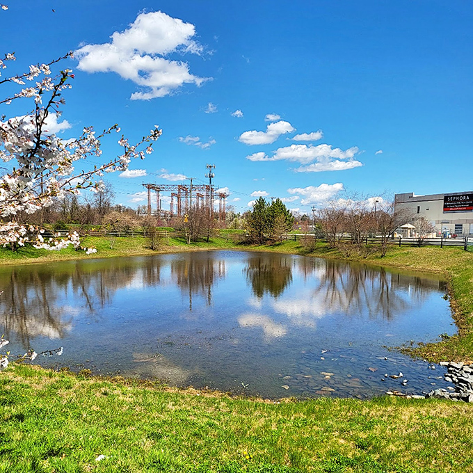 Aberdeen's blend of historic and modern architecture creates a town that honors its past while embracing the future.