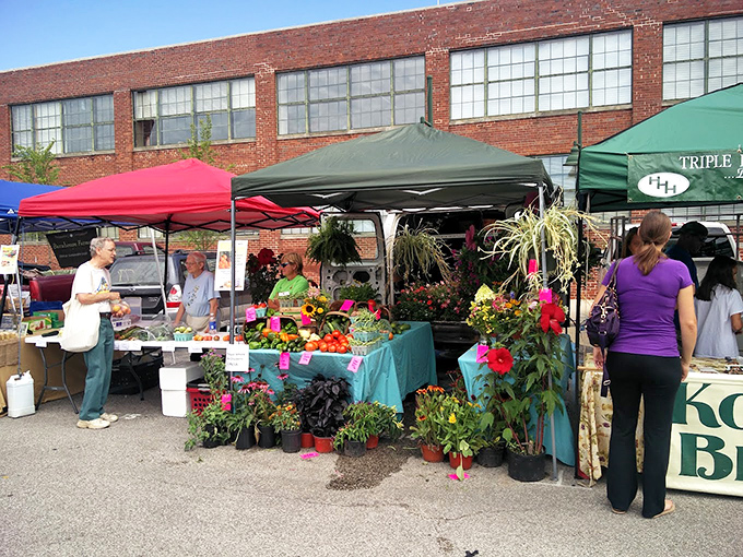 Bloomington's market blends fresh produce with handcrafted goods under cheerful tents—shopping that feeds both body and soul.
