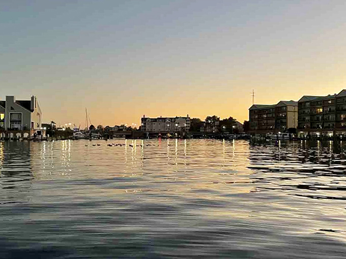 Cambridge feels like Mayberry met the Bay—slow strolls, warm smiles, and nap-worthy sunsets.
