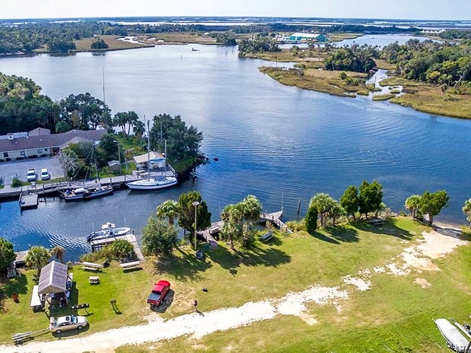 Crystal River's waterways—where manatees vacation better than most humans. This aquatic paradise offers five-star accommodations for our rotund water friends.
