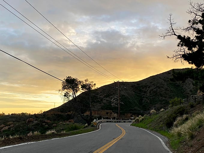 Two yellow lines leading to adventure. This winding road through Malibu’s Decker Road Scenic Drive offers golden-hour views worth every curve.