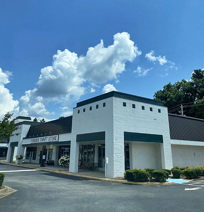 Furkids Thrift Store: where that couch you just bought helps feed a rescue puppy—shopping with a purpose never felt so good.