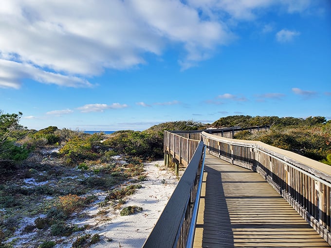 This boardwalk stretches toward paradise like a red carpet – except everyone's invited to this premiere.