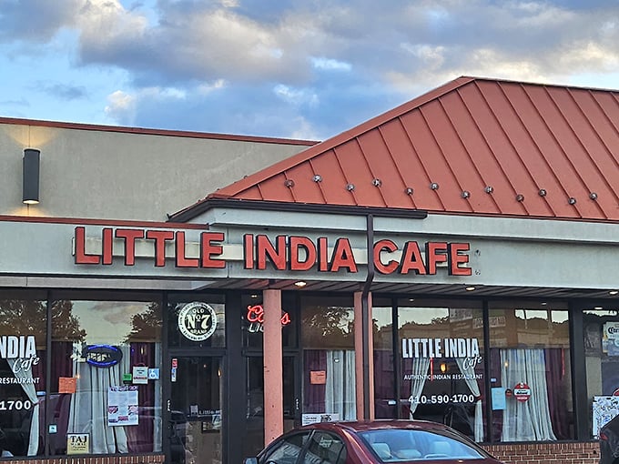 Little India Café's vibrant signage promises authentic flavors in suburban Maryland. That tricolor scheme isn't just decorative—it's foreshadowing the colorful curry adventure awaiting inside.
