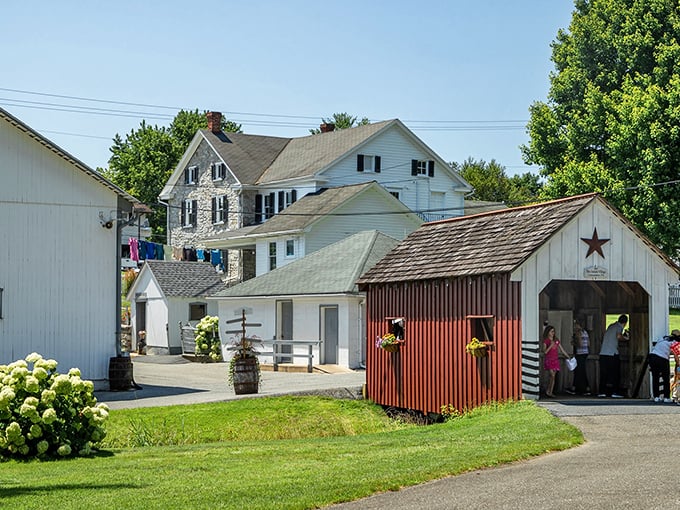 White picket fences and quaint buildings create a postcard-perfect scene of Amish country simplicity.