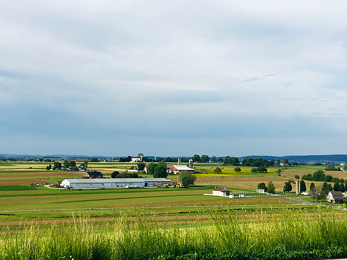 Rolling green hills stretch toward the horizon like nature's own meditation retreat for weary souls.
