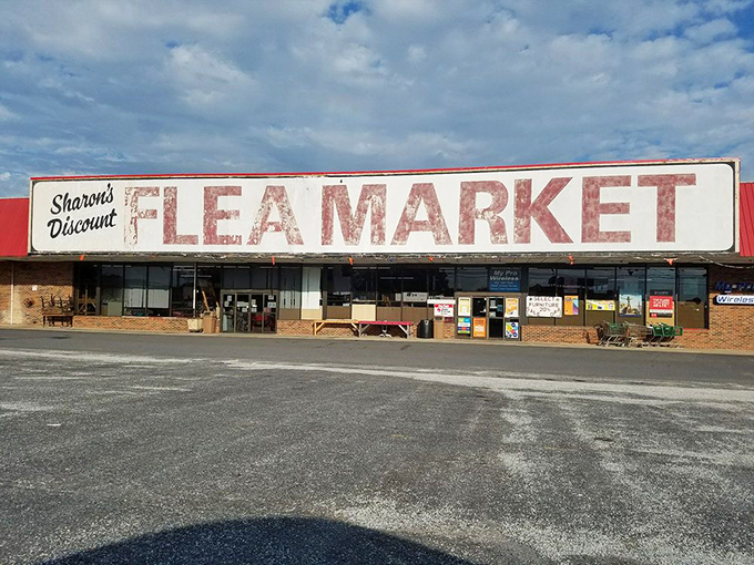 Sharon's Discount Flea Market's vintage sign has seen decades of bargain hunters come and go – and still promises deals galore.