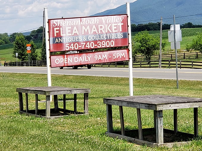 The Shenandoah Valley Flea Market sign stands sentinel against mountain views. Shopping with scenery – what could be better?