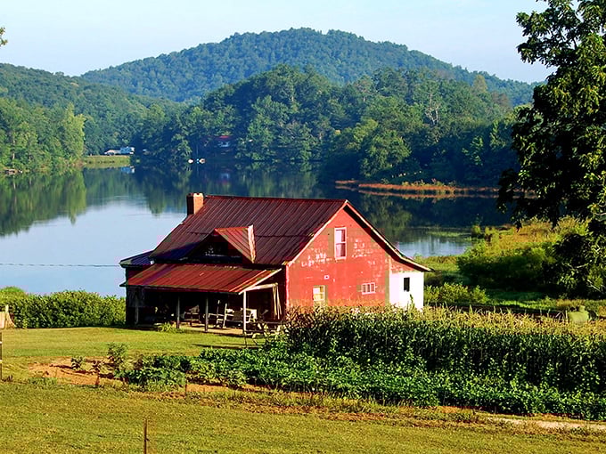 Suches offers pastoral perfection with this lakeside red barn. Even the cows must appreciate this million-dollar view!