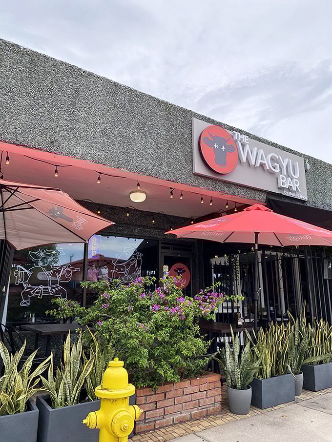 The Wagyu Bar's bold signage matches their bold flavors – Miami's meaty marvel in minimalist packaging.