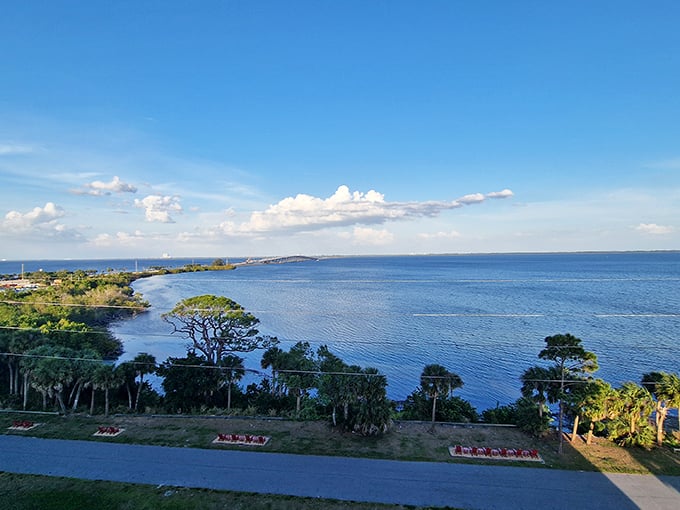 Palm trees, ocean breeze, and endless blue skies—Titusville’s shoreline is the kind of peaceful spot you’ll never want to leave.