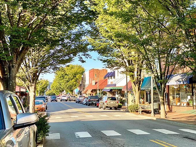 Waynesville's tree-lined main street offers shade in summer and a kaleidoscope of color in fall – nature's perfect shopping companion.