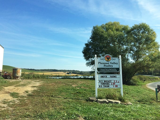 A roadside farm stand near Baltic showcases the bounty of local fields – no frequent flyer miles on these vegetables.
