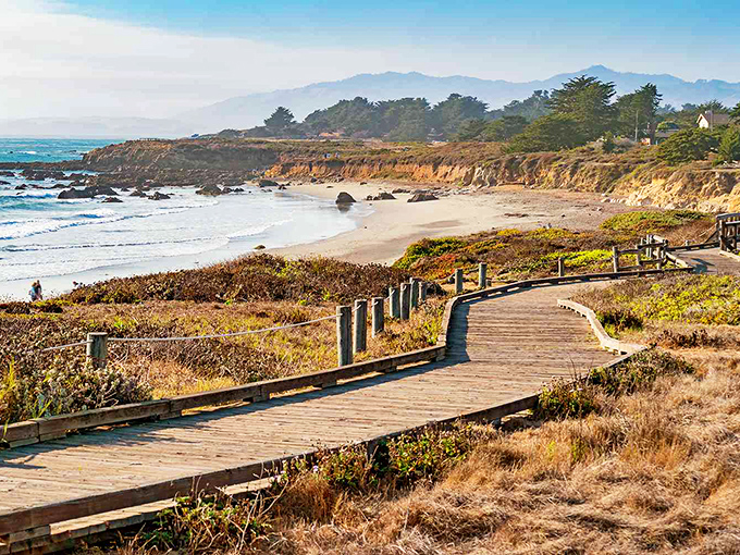 The rugged beauty of Cambria's coastline reminds you why people fall in love with California in the first place.