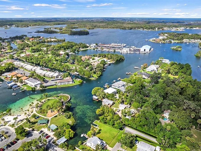Nature's waterpark without the ticket prices! Crystal River's pristine waters host more manatee family reunions than your Facebook feed hosts baby announcements.