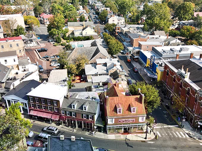 A bird's-eye view of Doylestown shows a town that's mastered the art of preserving its past while embracing its present.