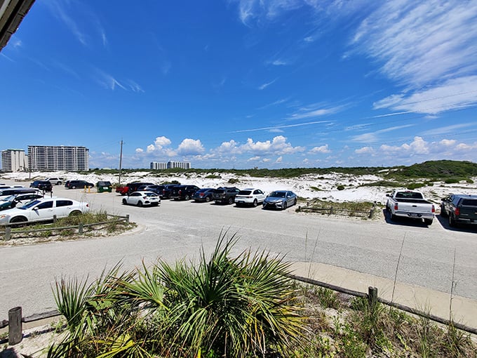 Parking this close to perfection? That's rarer than a quiet day at Disney – grab it while you can!