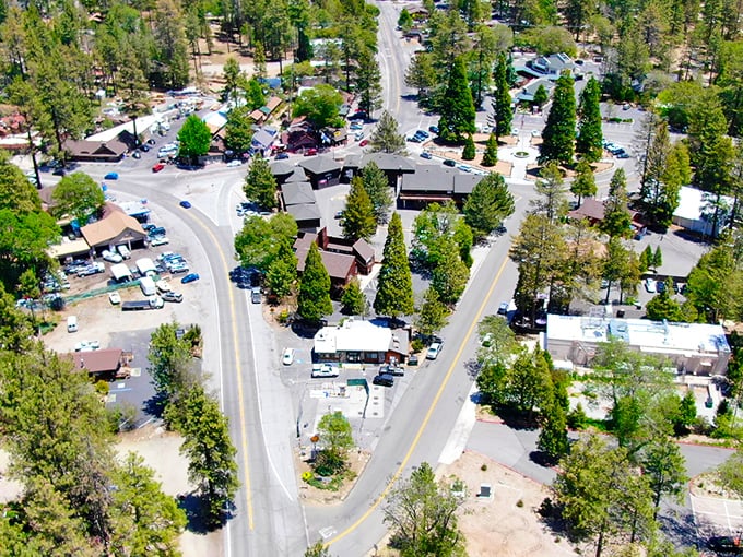 Idyllwild from above reveals nature's master plan – those winding roads and pine-covered hills create a green tapestry that makes suburbia seem like a silly concept.