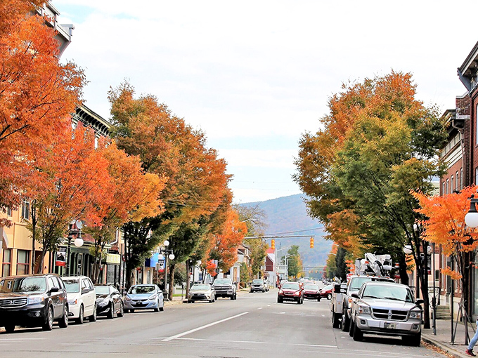 Lock Haven’s tree-lined streets come alive in autumn, where quiet charm meets the rhythm of the seasons.