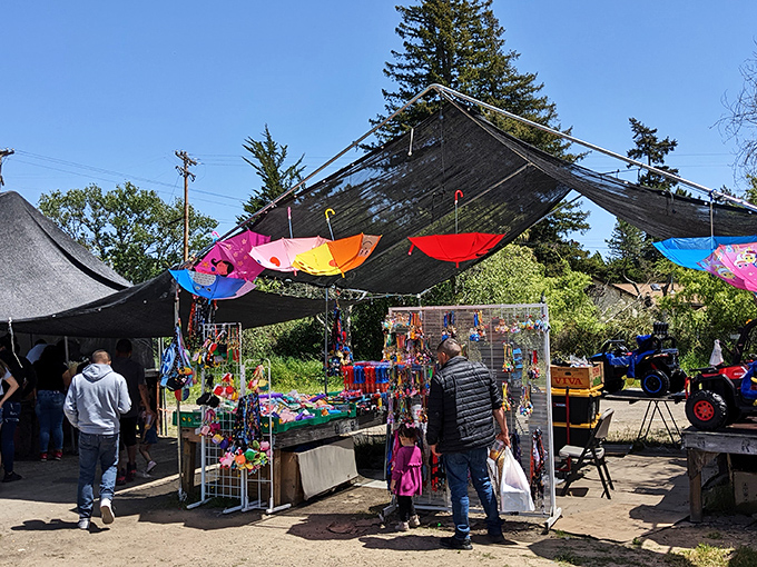 Bargain hunter's paradise! Midgley's outdoor market creates a patchwork of tents and treasures where one person's discards become another's delightful discoveries.