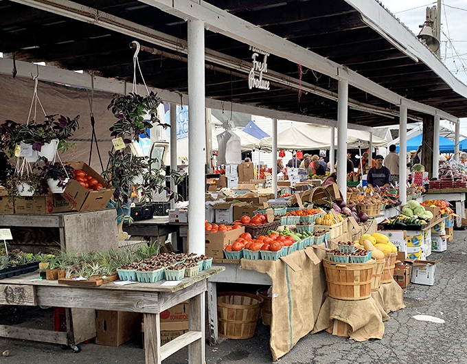 Farm fresh paradise! Vendors at Roots Market arrange their colorful produce in picture-perfect displays that make grocery stores seem boring by comparison.
