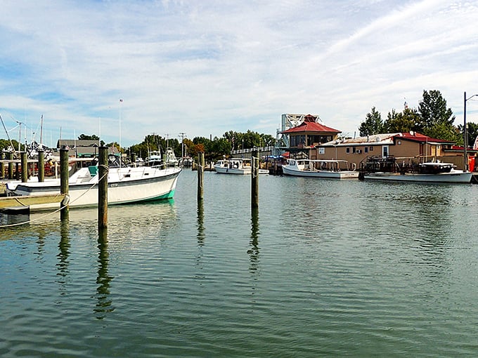 Tilghman Island's harbor cradles working boats and pleasure craft alike, all moving to rhythms set by tide and wind.