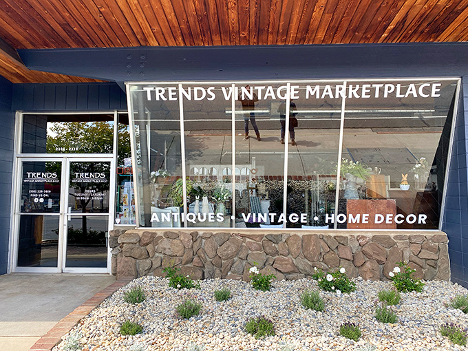 Behind that sleek glass storefront lies a carefully curated collection of yesteryear's finest – proving "used" and "upscale" aren't mutually exclusive.