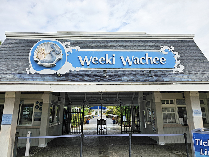 Mermaids this way! Weeki Wachee's vintage charm has been luring visitors to its underwater performances since the 1940s.