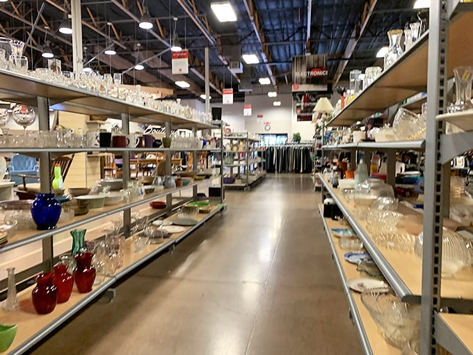 Crystal canyon – where vintage glassware gleams under fluorescent lights. That cobalt blue vase would make even supermarket flowers look like they came from a royal garden.