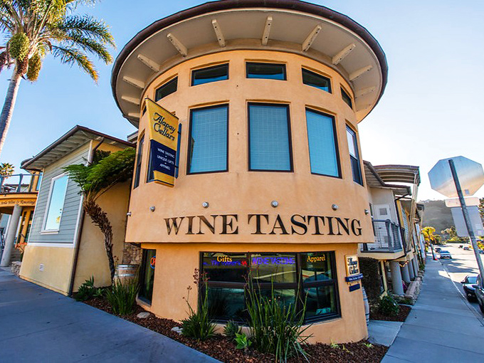 Wine tasting with an ocean view – because somehow cabernet tastes better when paired with the soundtrack of crashing waves and seagull commentary.