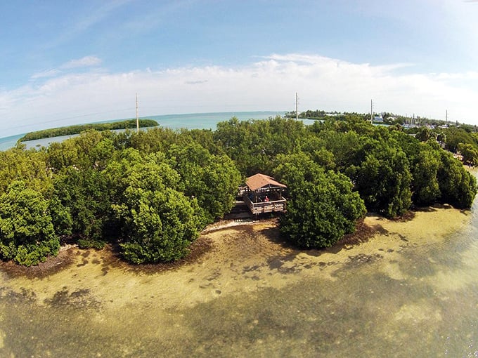 Bird's eye view of Anne's Beach reveals what the pelicans have known all along—this place is paradise from any angle.
