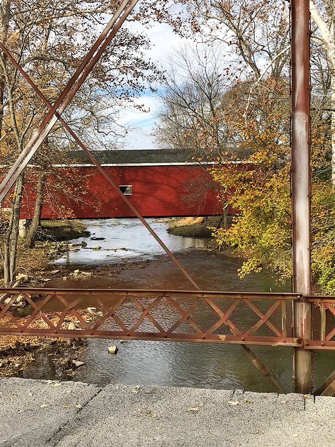 Fall foliage frames the bridge in nature's perfect complementary colors—the red structure pops against autumn's golden hues like a painting come alive.