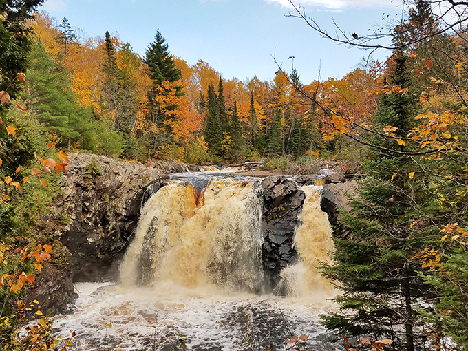 Autumn paints Little Manitou Falls in golden hues. The water looks like liquid butterscotch cascading over ancient basalt rock.