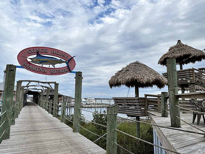Not all who wander are lost, but those who wander down this boardwalk will find seafood nirvana waiting at the end.