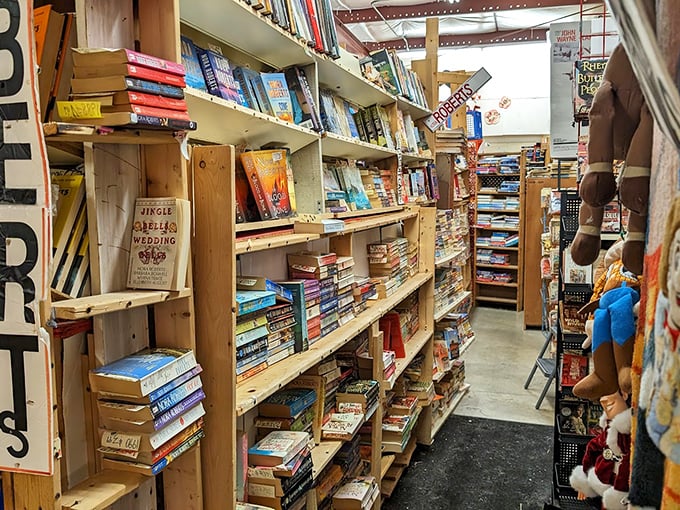 Bibliophiles beware—you'll need an extra tote bag. These shelves of pre-loved books promise afternoons lost in someone else's well-thumbed adventures.