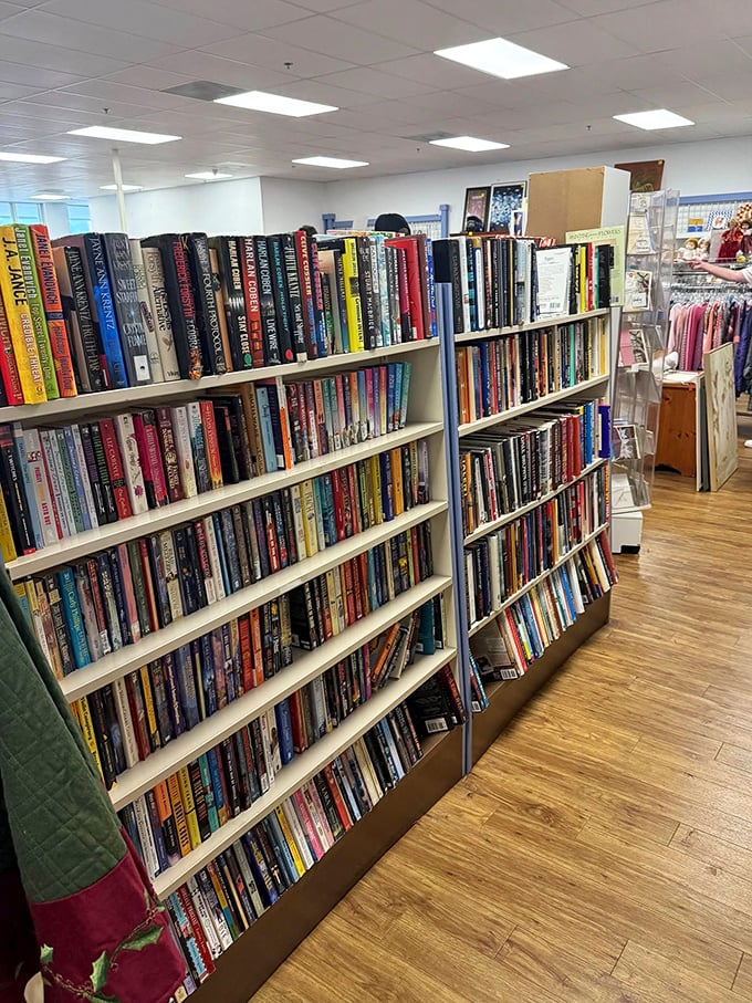 The book section—where bibliophiles can stock up on beach reads and coffee table statements without breaking the bank.