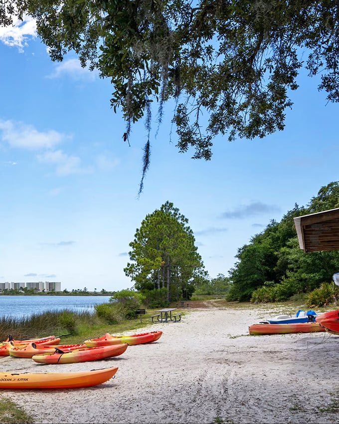 Conservation Park's kayak launch proves that luxury experiences don't require luxury prices—just a paddle, a sense of adventure, and a Social Security check.