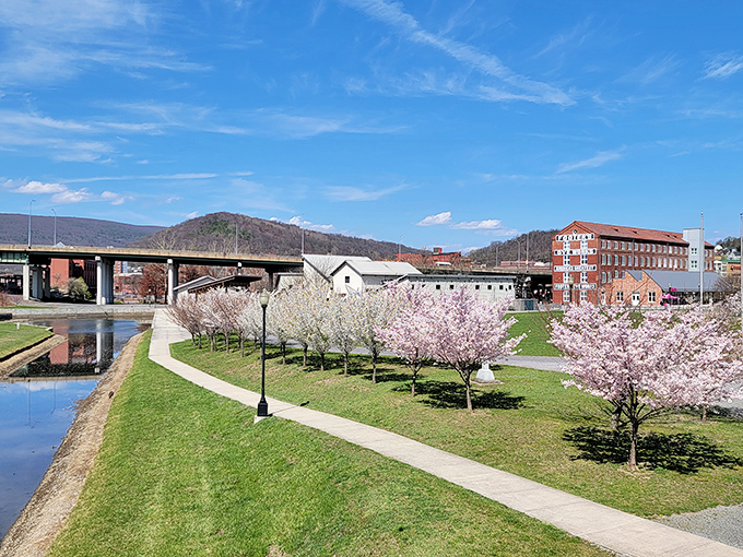 Canal Place Park brings together history and recreation like a perfectly arranged dinner party where everyone actually gets along.