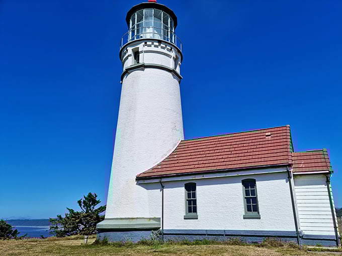 Cape Blanco Lighthouse stands like a sentinel from another era, guiding ships and collecting stories since 1870—a white tower of tales against endless blue.